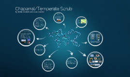 Chaparral/Temperate Scrub by Emily Greulich on Prezi