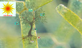 FOTÓTROFO by on Prezi