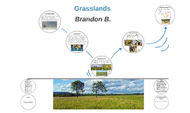 Grasslands by brandon b. on Prezi