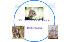 Animal Domestication Timeline by Destiny Kuhns on Prezi