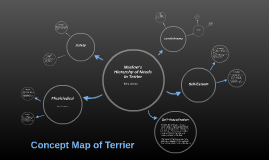 Ginott Model of Classroom Management by Rachel Knox on Prezi