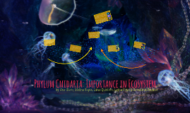 Phylum Cnidaria: Importance in Ecosystem by Ana Otero on Prezi