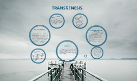 transgenesis by kelly llanos osorio on Prezi