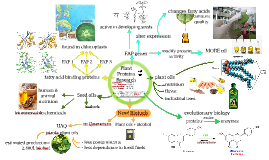 Chapter 3: Chemistry of Organic Molecules Mind Map by Sofia Ch on Prezi