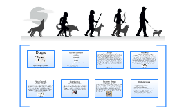 Evolution Of Dog Timeline Dog Breed Timeline | Goldenacresdogs.com