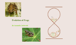 Evolution of Frogs by Cassie Jackowski on Prezi