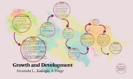 Health Traditions Model by Amanda Laas on Prezi