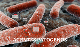 AGENTES PATOGENOS by Paulina Orlaineta Garcia on Prezi