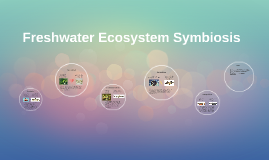 Freshwater Ecosystem Pond Food Pyramid by Sunil Krish on Prezi