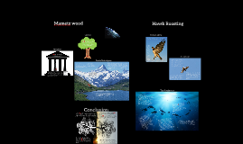 English: Comparing the portrayal of conflict in Mametz wood and Hawk ...
