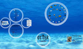 The Skunk by Seamus Heaney by Colin Emms on Prezi