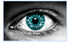 Visual Ambiguity by Robert Humphrey on Prezi