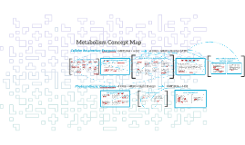 Metabolism Concept Map by Moira Murdoch on Prezi