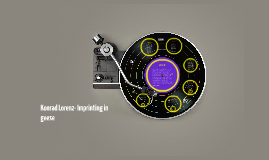 Konrad Lorenz- Imprinting in geese by Christopher Hinks on Prezi