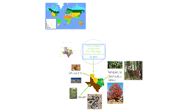Texas Biomes by Marisa Chapa on Prezi
