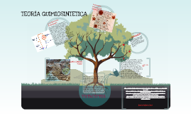 TEORÍA QUIMIOSINTETICA by Francisco Plascencia on Prezi