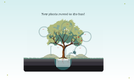 Plants Transition from Water to Land by Biology 11 on Prezi