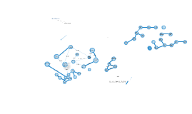 Classical Music Family Tree by Carly Gillis on Prezi