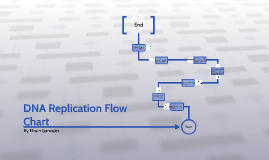 DNA Replication Flow Chart by Efrain Gonzalez on Prezi