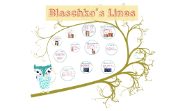 Blaschko's Lines by Rebecca Glenn on Prezi