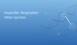Anaerobic Respiration - 100m Sprinter by Hal Parkes on Prezi