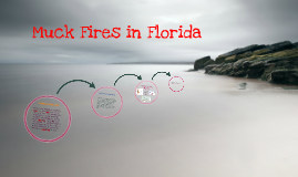 Muck Fires in Florida by Faythe Rodrigues on Prezi