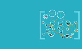 Florida Coral Reef Food Web by Josh Leigh on Prezi