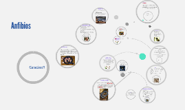 Diplomónadas y parabasálidos by ana maria ruiz on Prezi