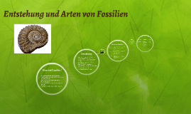Entstehung und Arten von Fossilien by Laura Blawat on Prezi