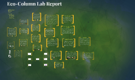 Eco-Column Lab Report by Angelica Loya on Prezi