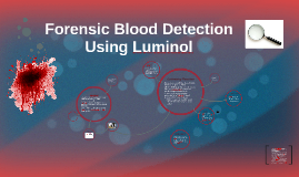 Forensic Blood Detection Using Luminol by Kaitlyn Simpson on Prezi