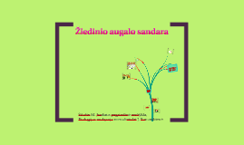 Penkios gyvosios gamtos karalystės by Jovita Rana on Prezi