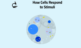 How Cells Respond to Stimuli by Philip Tabor on Prezi