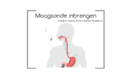 Maagsonde inbrengen by marijke Glas on Prezi