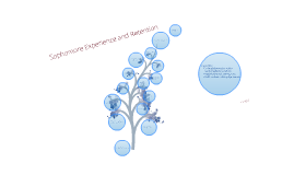 Dunder Mifflin- Scranton Organizational Chart by Erin Dalton on Prezi
