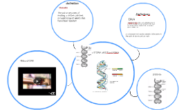 solomon harper by johnitsha akers on Prezi
