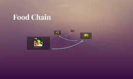 Honduran White Bat by Alexandrea Lee on Prezi