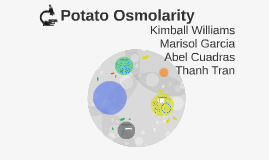 Potato Osmolarity by Thanh Tran on Prezi