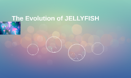 The Evolution of Jellyfish by on Prezi
