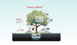 What is Zoomorphism? by Audrey Olvera on Prezi