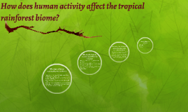 How does human activity affect the tropical rainforest biome by Sharon ...
