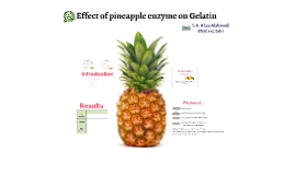 Effect of pineapple enzyme on Gelatin by alaa alahmadi on Prezi