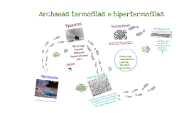 Bacterias termófilas e hipertermófilas by Geral Angel on Prezi