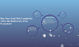 How Does Food Web Complexity Affect the Biodiversity of an e by ...