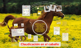 Claudicación en el caballo by leonardo toledo on Prezi