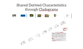 Shared Derived Characteristics through Cladograms by Mai on Prezi