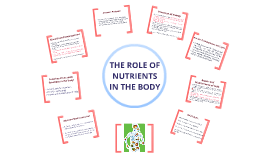 Function of Food in the Body by Christine Lavery on Prezi