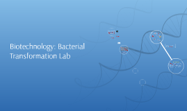 Biotechnology: Bacterial Transformation Lab by Ezra Hall on Prezi