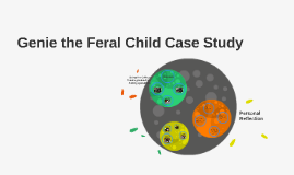 Genie the Feral Child Case Study using the critical thinking by Victor ...
