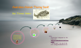 Australian Animal! Thorny Devil! by Trevor Usher on Prezi